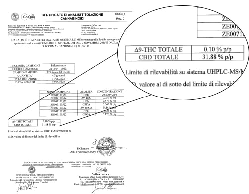 MANGO CBD BOOST: CBD Gras mit 42% CBD | Justbob