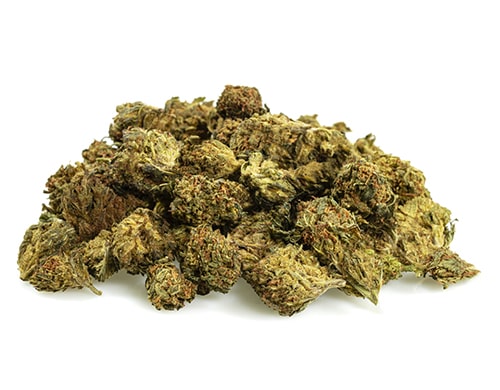 GG#4 CBD BOOST: Cannabidiol-reiches CBD Blüten | Justbob